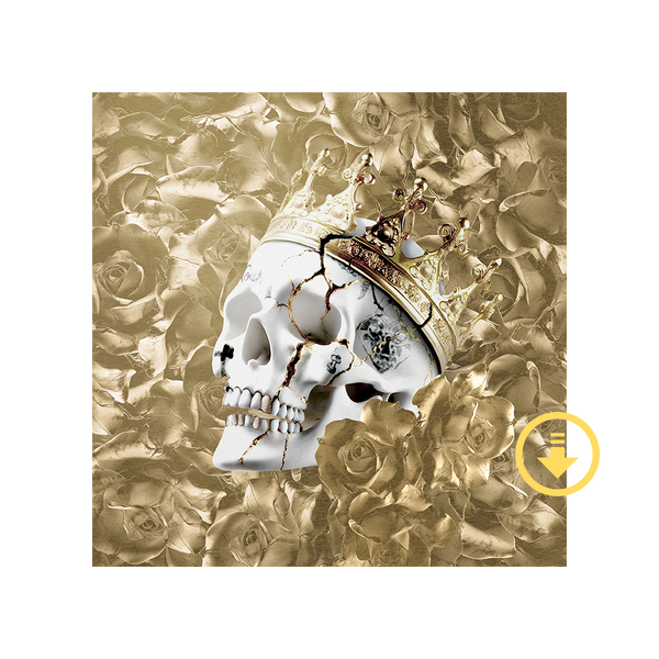 Beautifully Broken Deluxe Digital Album - Republic Records Official Store